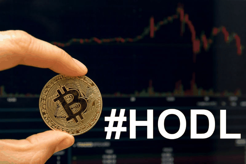 What is HODL Coin? How to Maximize Profits from Holding Coins - BTA Guru