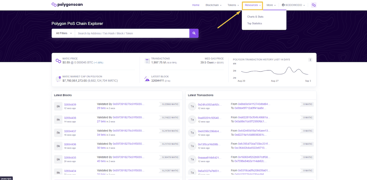 Polygonscan: A User’s Guide to Polygon Blockchain Explorer 2023 - BTA Guru
