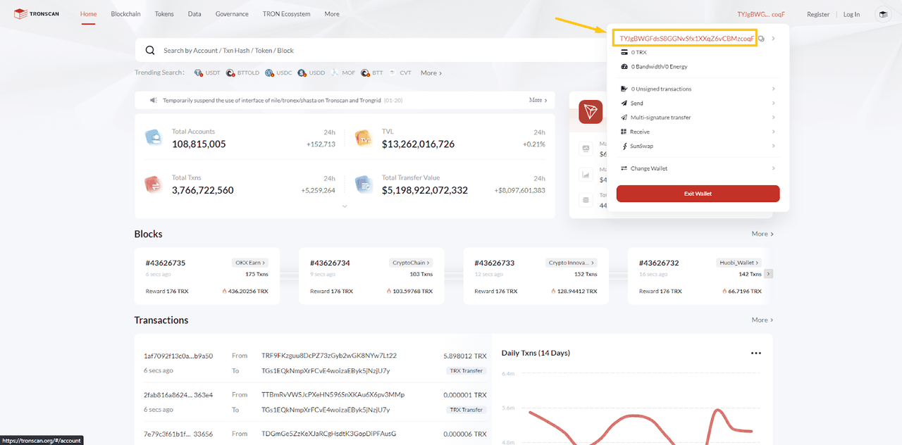 TRONSCAN: A User’s Guide to TRONSCAN Blockchain Explorer 2023 - BTA Guru